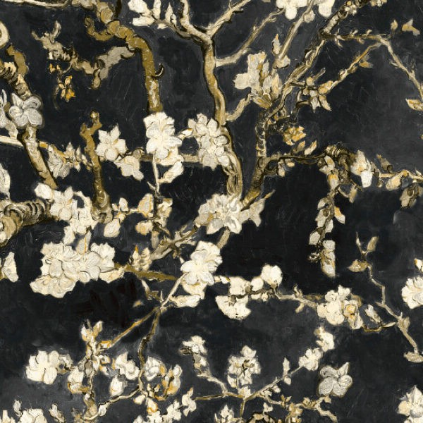 De specialist in wanddecoratie | Posters, behang en meer! - MuurMooi.nl